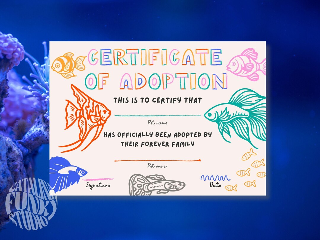 Editable Fish Adoption Certificate, Canva Template, (7"x5") Digital ...