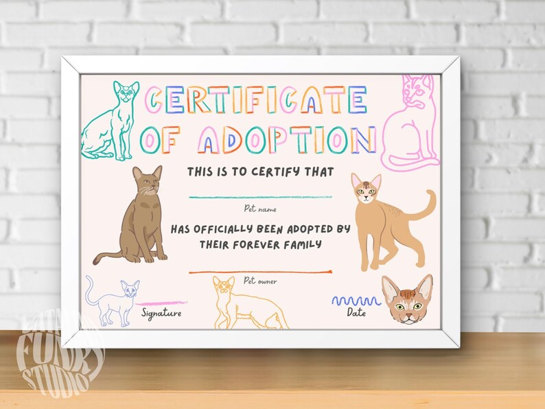 Abyssinian Cat Adoption Certificate: Editable Keepsake (PDF & JPG) - Etsy