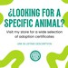 Elephant Adoption Certificate Canva Template | Instant Download 7x5 ...