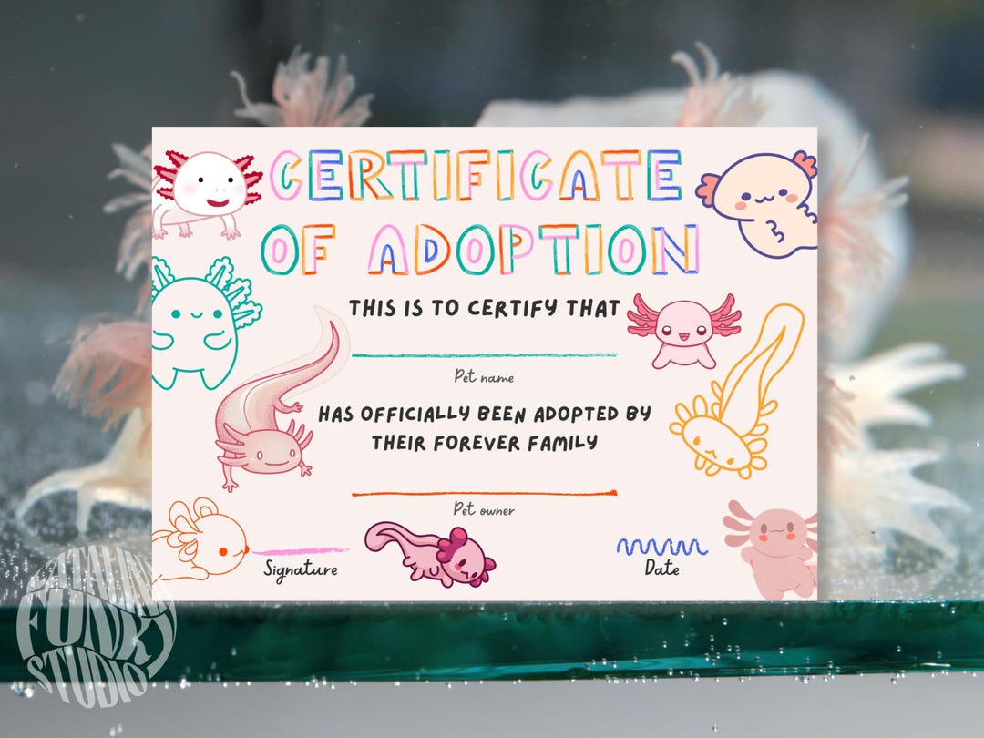 Axolotl Adoption Certificate | Axolotl Birthday Gift & Wall Art | 7"x5 ...