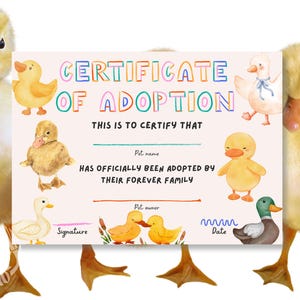 Duck Adoption Certificate | Editable, Printable Template | Canva | PDF ...