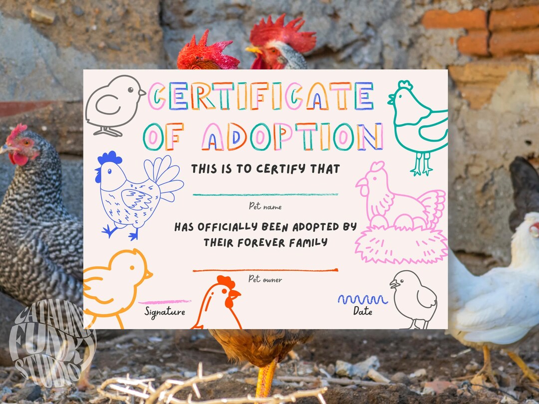 Chicken Adoption Certificate: Editable Farm Animal Gift (canva Template ...