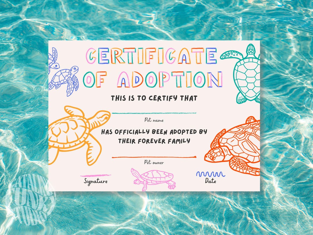 Turtle Adoption Certificate | Turtle Gift & Wall Art | Turtle Birthday ...