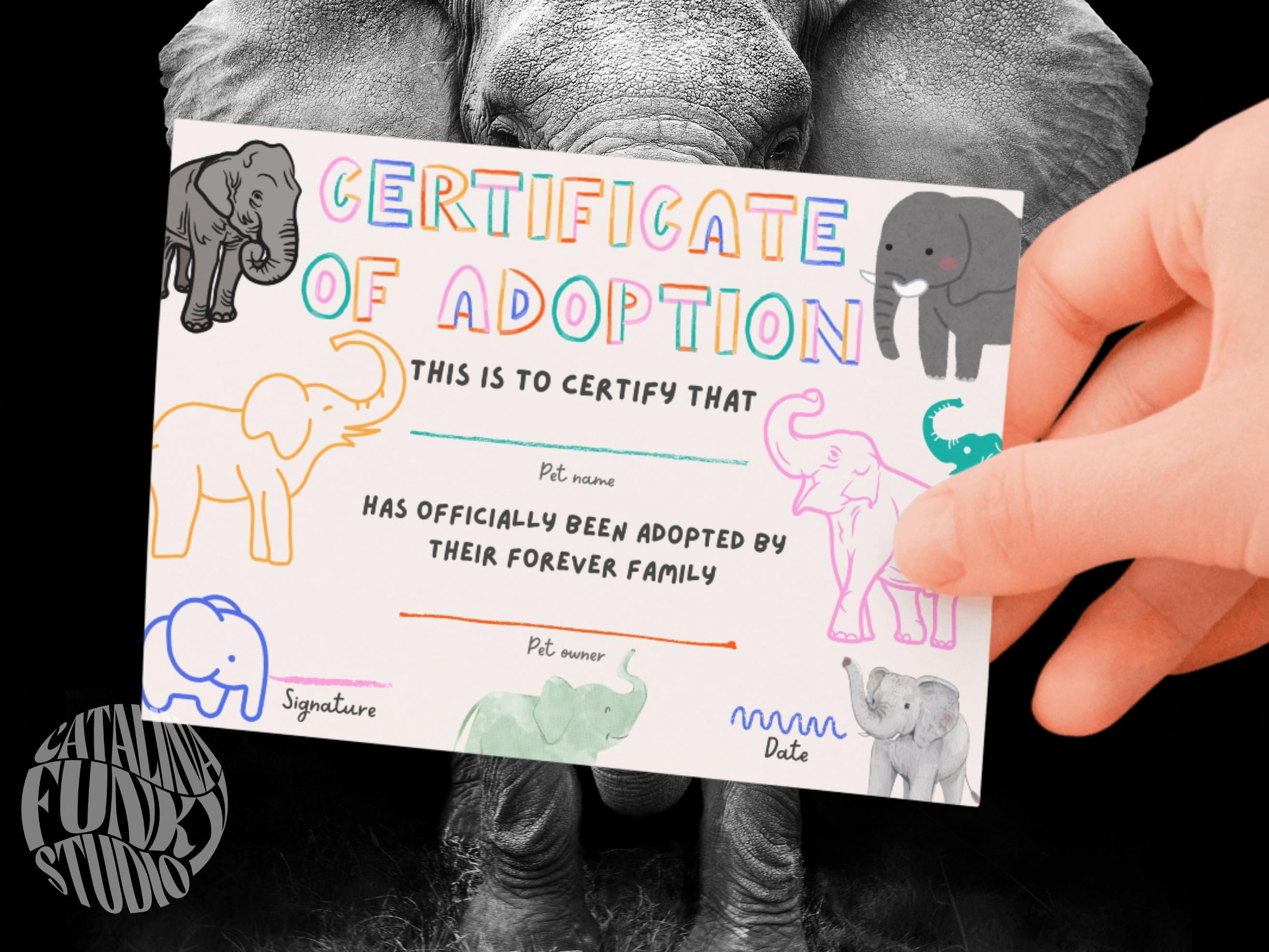 Elephant Adoption Certificate Canva Template | Instant Download 7x5 ...
