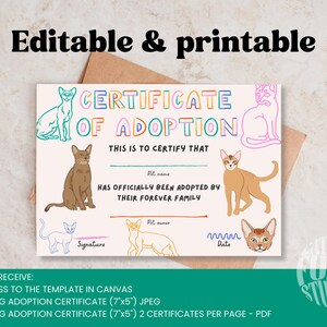Abyssinian Cat Adoption Certificate: Editable Keepsake (PDF & JPG) - Etsy