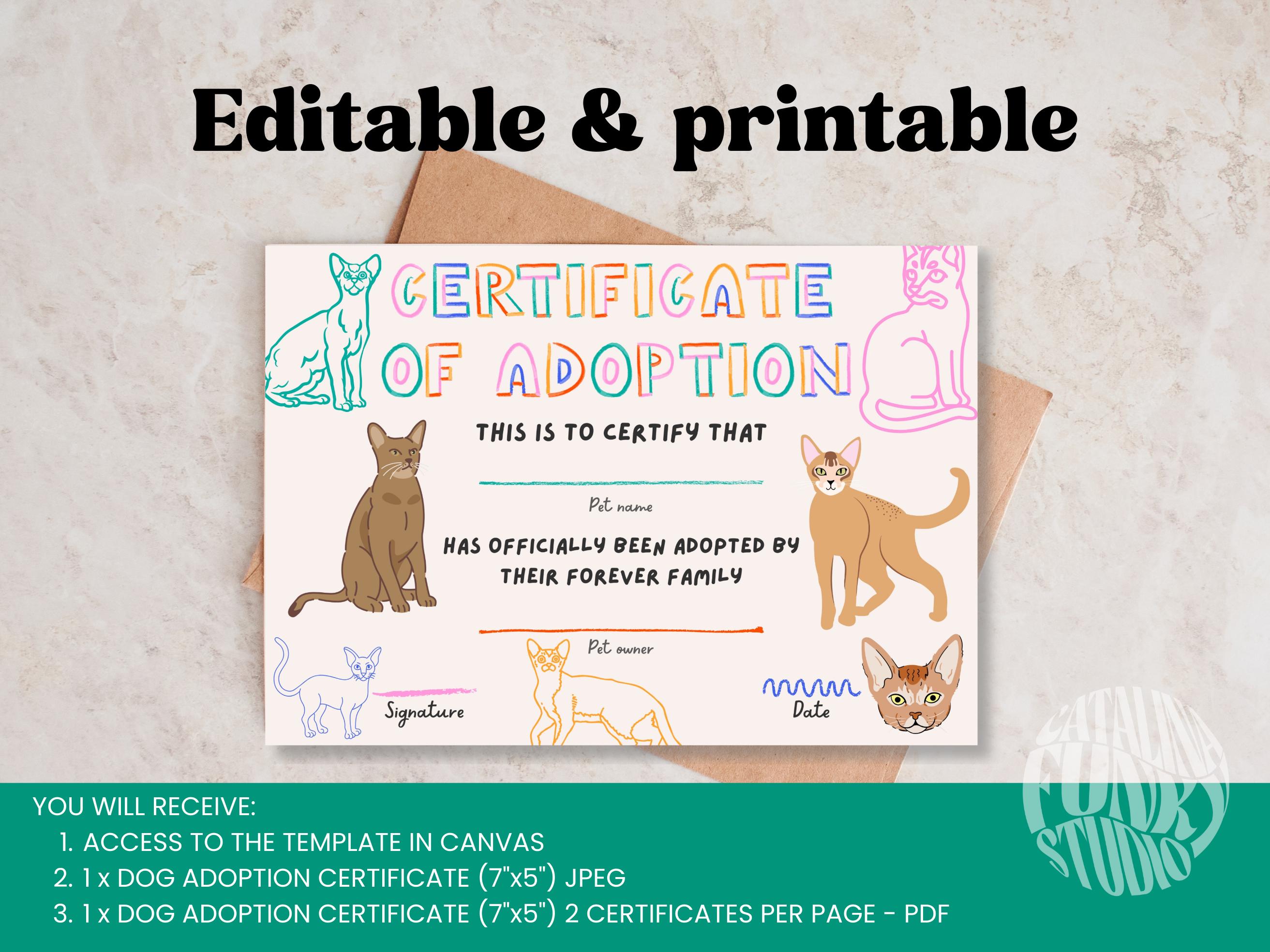 Abyssinian Cat Adoption Certificate: Editable Keepsake (PDF & JPG) - Etsy