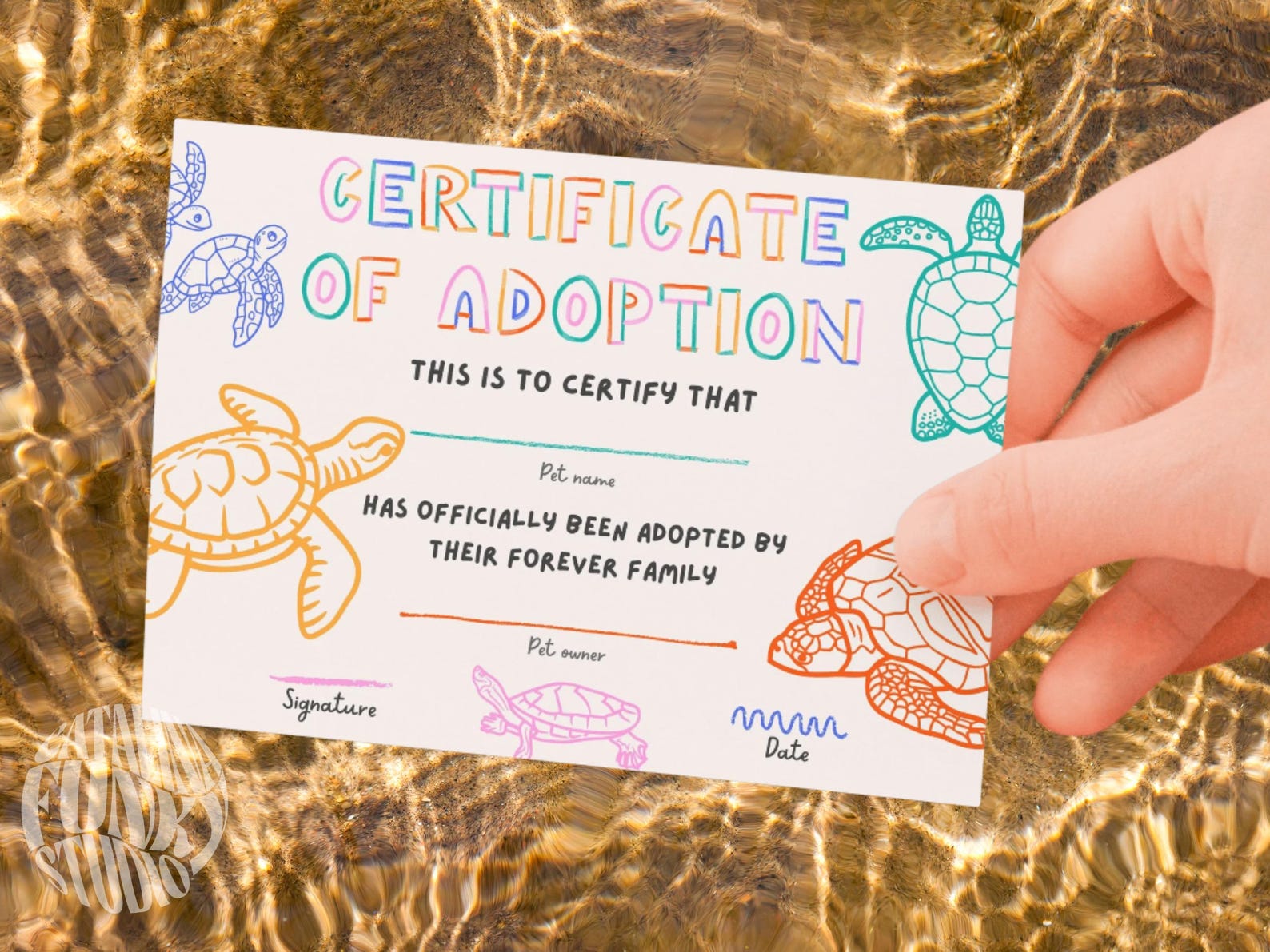 Turtle Adoption Certificate | Turtle Gift & Wall Art | Turtle Birthday ...