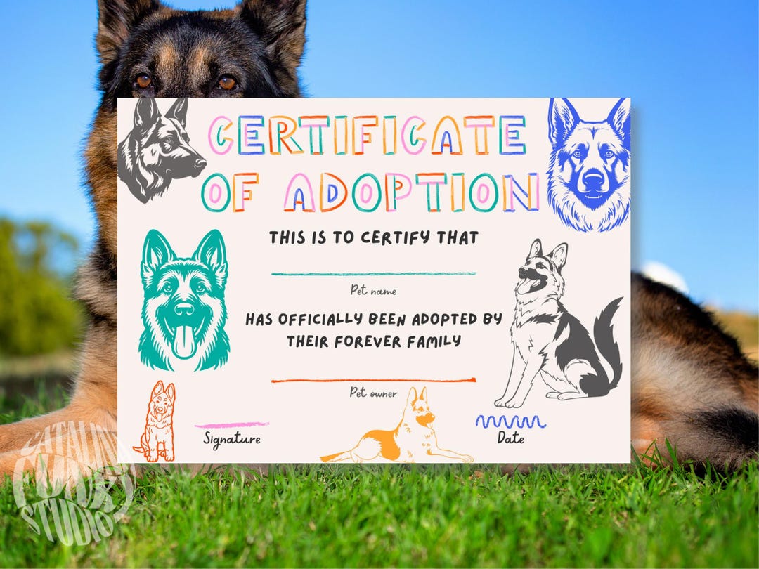 German Shepherd Adoption Certificate | German Shepherd Gift & Wall Art ...