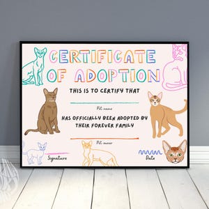 Abyssinian Cat Adoption Certificate: Editable Keepsake (PDF & JPG) - Etsy