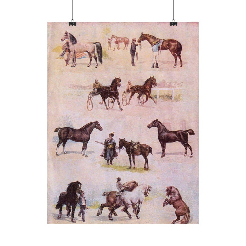 Vintage Horse Breeds Rolled Posters Wall Art, Old Fashioned Equestrian ...