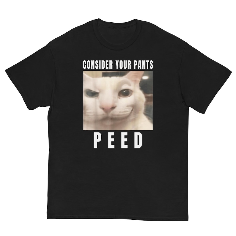 Consider Your Pants Peed Cat Meme Shirt - Funny Graphic Tee - Etsy