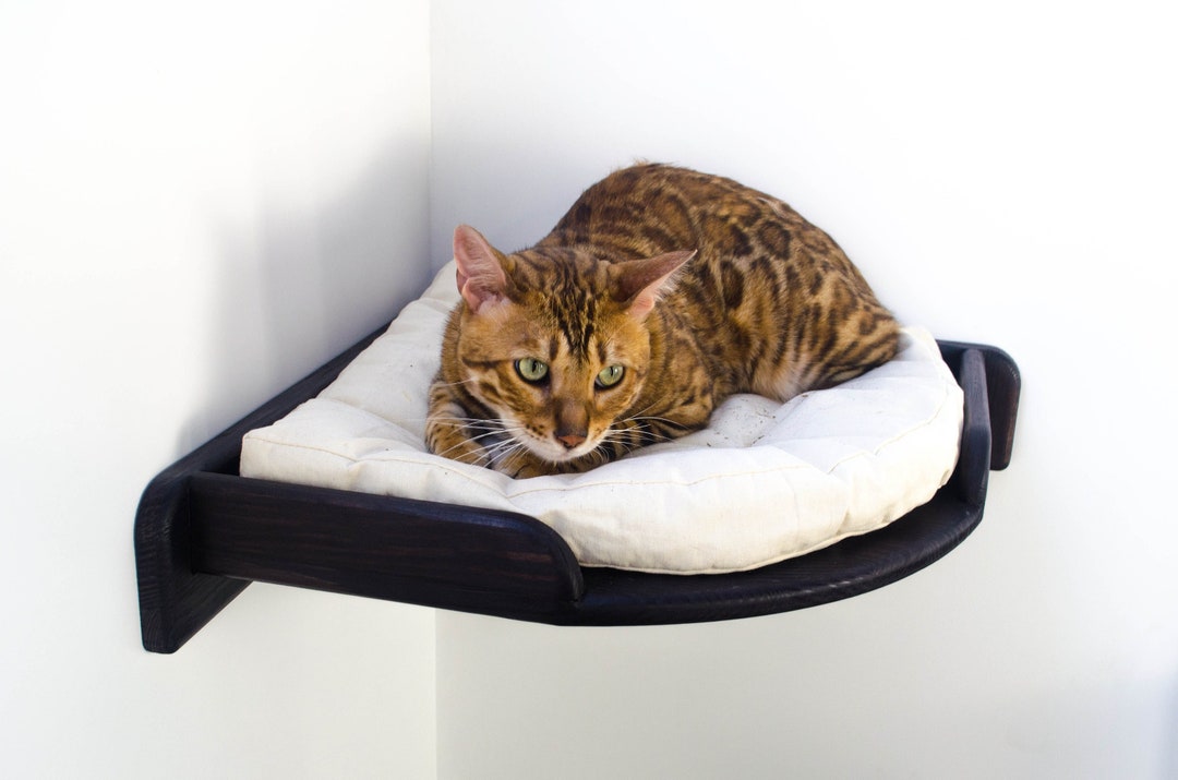 Corner Cat Shelf, Cat Wall Furniture, Cat Perch Floating, Corner Cat ...
