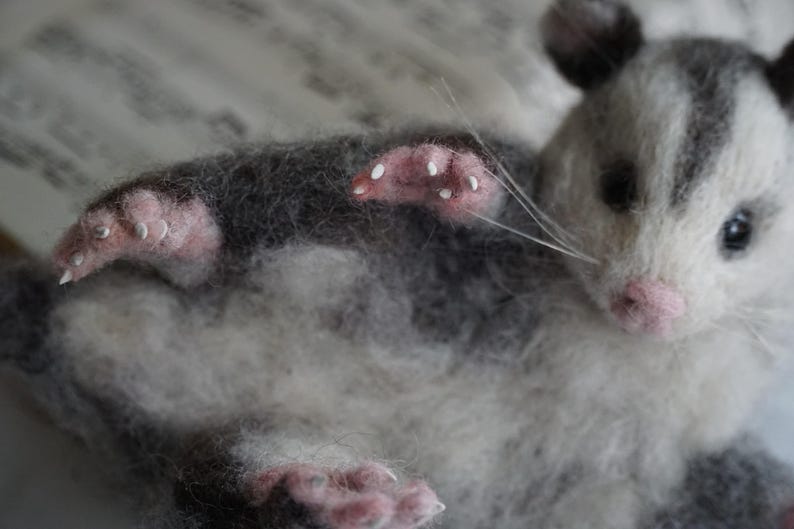 Needle Felted Baby Opossum Realistic - Etsy