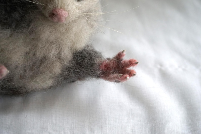 Needle Felted Baby Opossum Realistic - Etsy