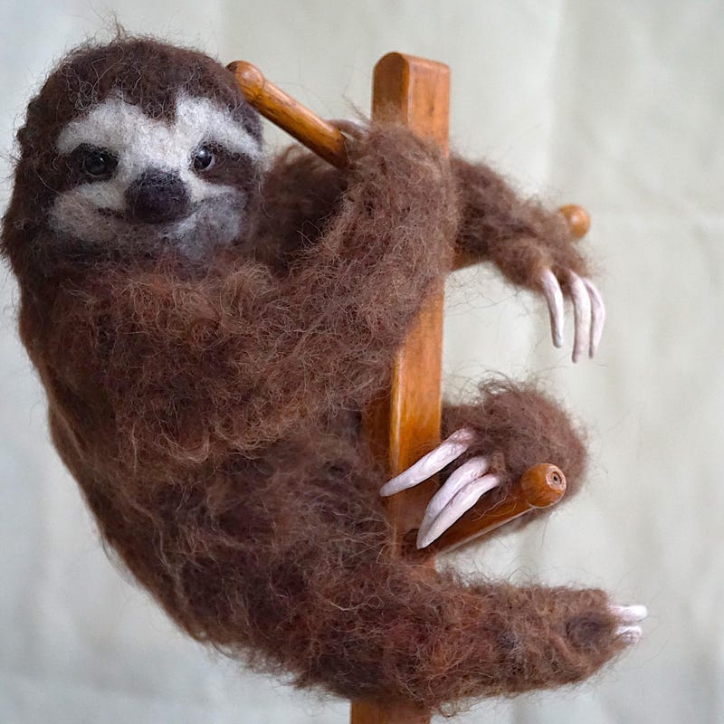 Felt Sloth - Etsy