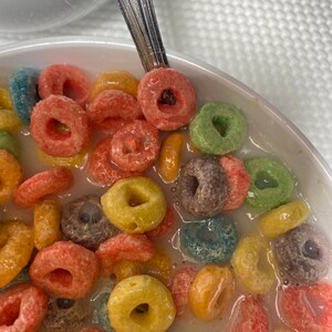 Fake Food Fruit Loops Rainbow Cereal With Milk/ 6 Inch Round Thick ...
