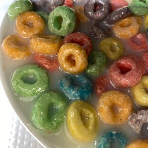 Fake Food Fruit Loops Rainbow Cereal With Milk/ 6 Inch Round Thick ...