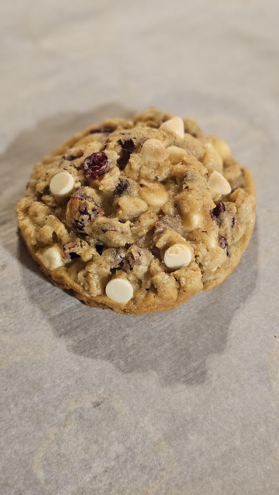 White Chocolate Cranberry Oatmeal Cookie Recipe - Etsy