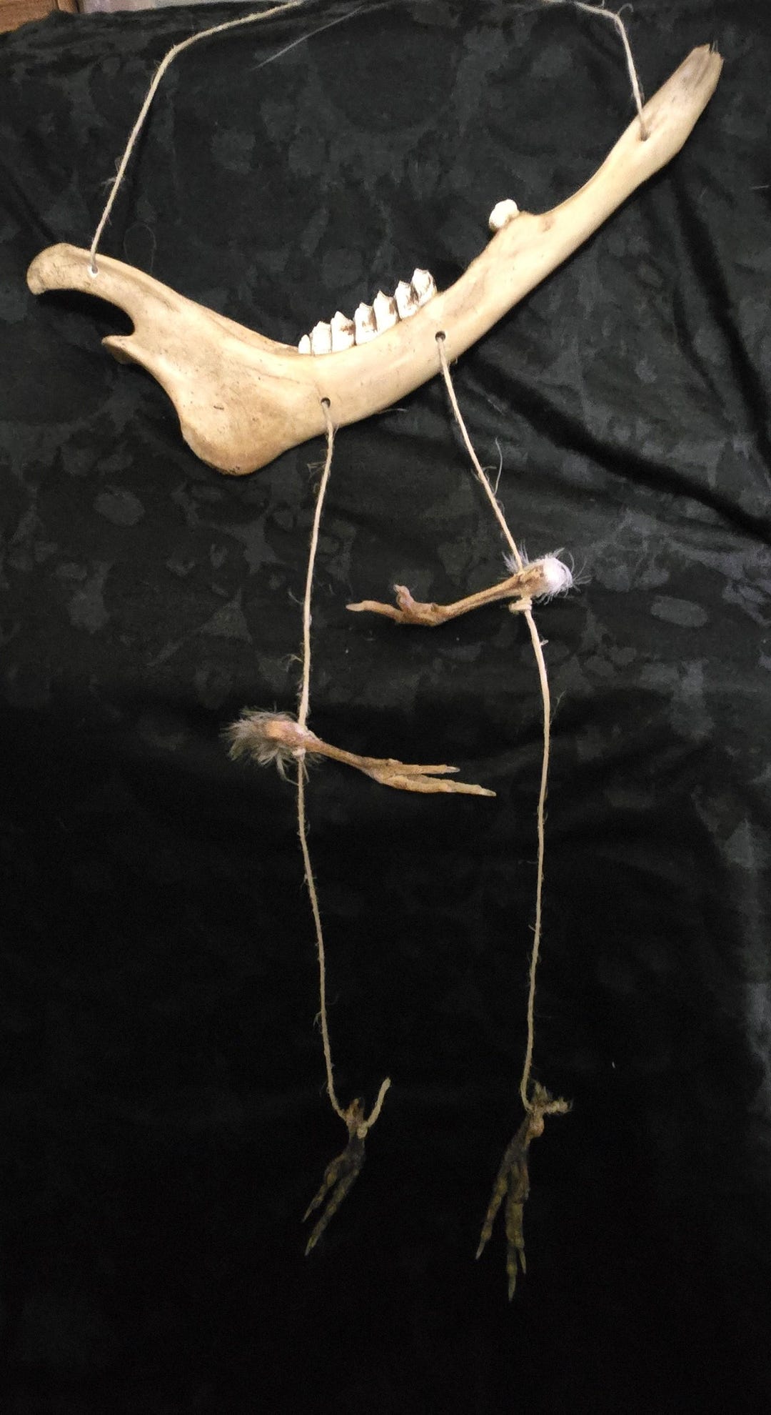 Wall Hanger Deer Bone, Quail and Pheasant Feet - Etsy