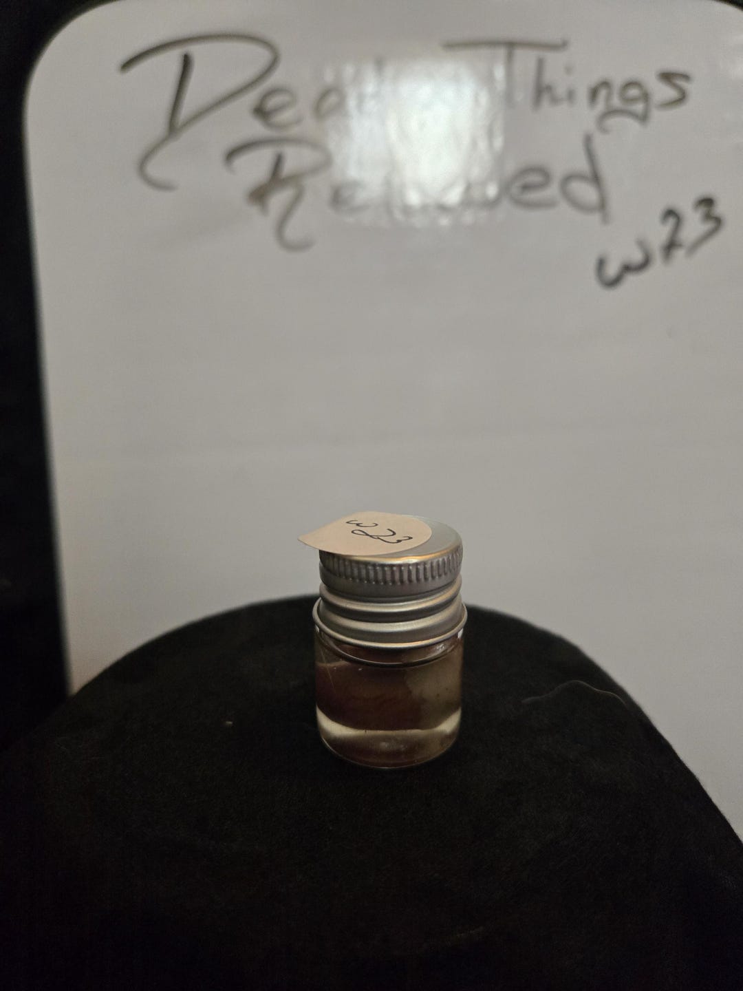 Quail Heart Wet Specimen Jar Included W23 - Etsy