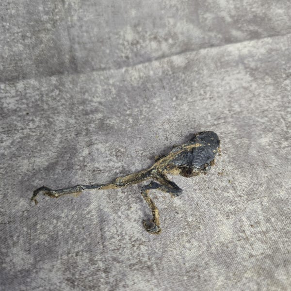 Mummified - Etsy