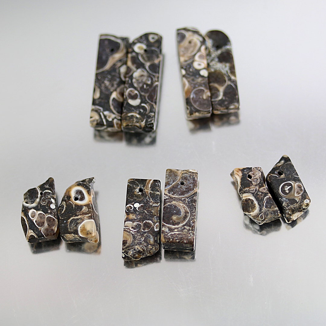 Turitella Agate Bead Shards Fossils Turitella Agate Beads - Etsy