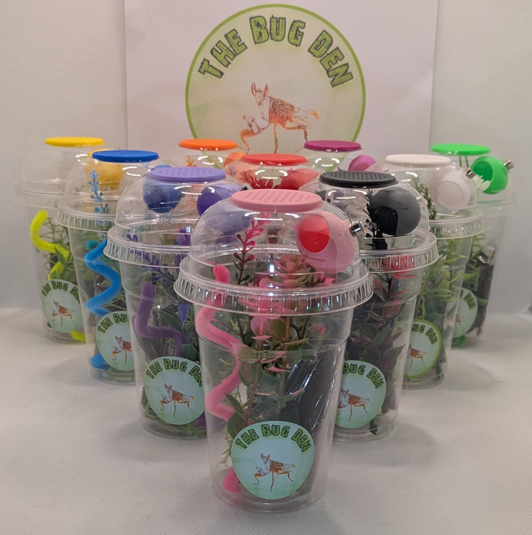 Jumping Spider Starter Cup. Jumping Spider Enclosure. Now With 3d ...
