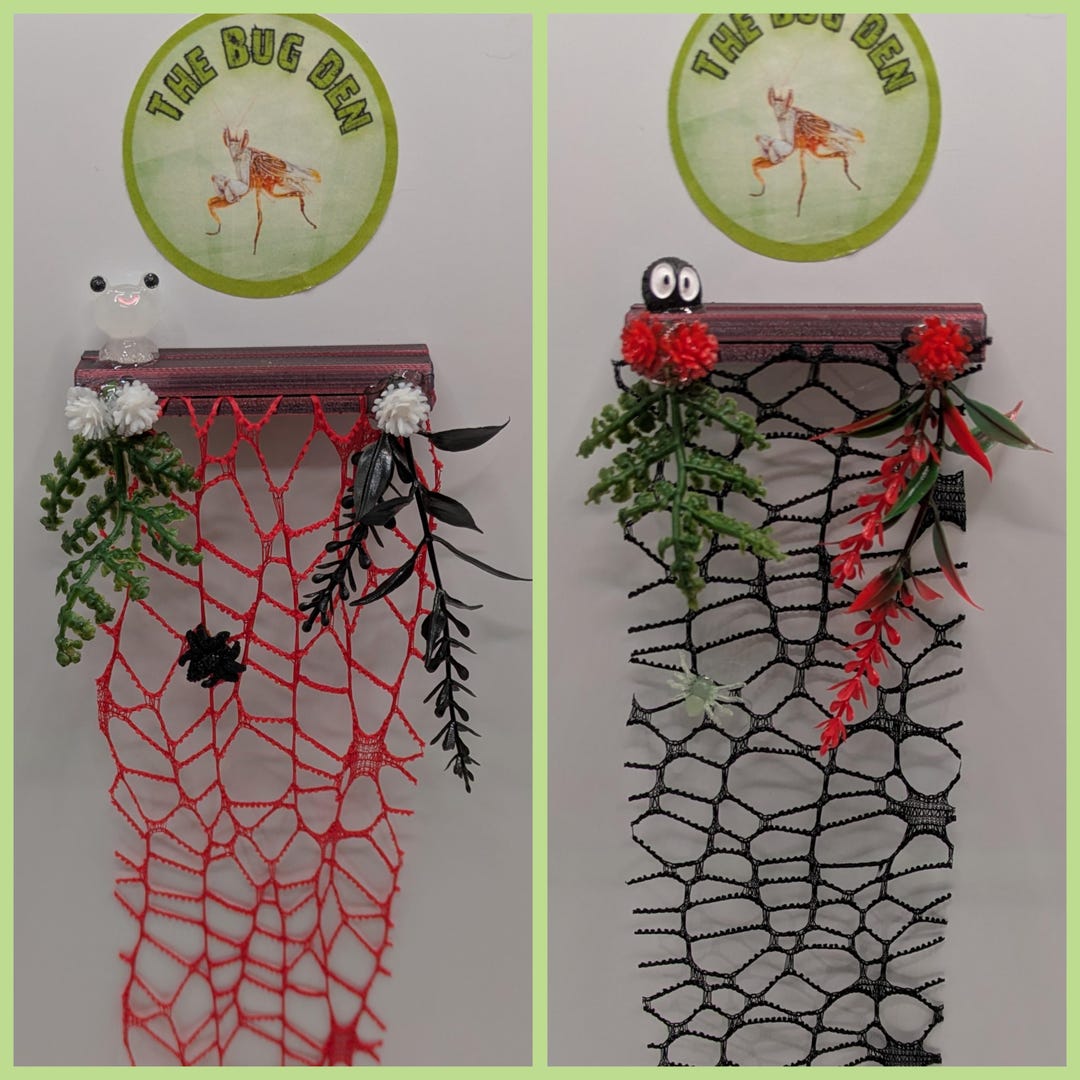 Jumping Spider Magnetic Ledge. Ladder, Platform, Climbing Rope. Mantis ...