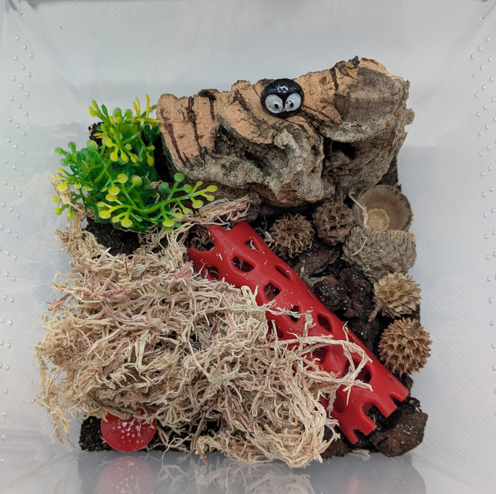 Velvet Spider Full Setup Kit 24oz. Substrate, Moss, Cork Bark, Cholla ...