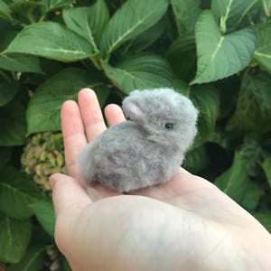 FLUFF, BUFF, PUFF, Customizable Needle Felted Bunnies, ( Please Read ...