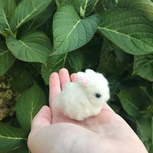 FLUFF, BUFF, PUFF, Customizable Needle Felted Bunnies, ( Please Read ...