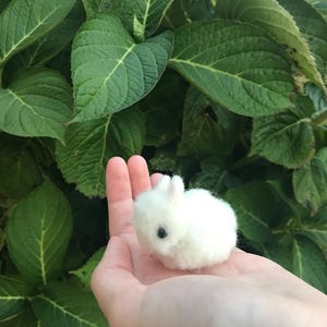 FLUFF, BUFF, PUFF, Customizable Needle Felted Bunnies, ( Please Read ...