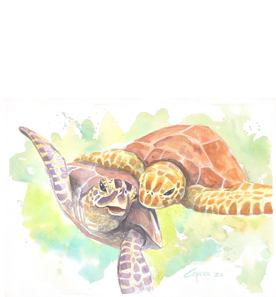 Kissing Turtles - Etsy