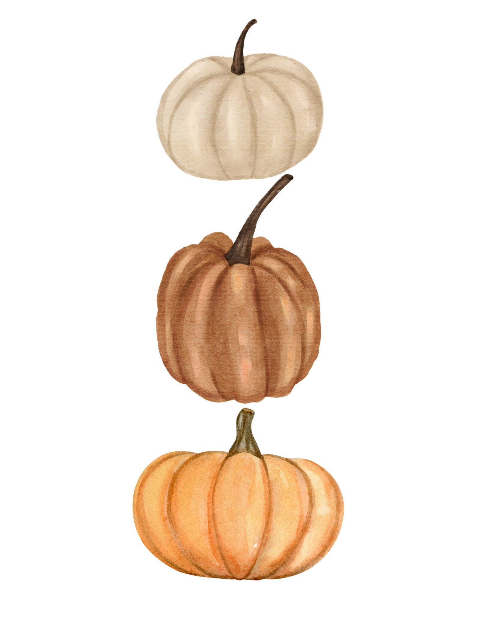 Pumpkins, Fall, Autumn, Watercolors - Etsy
