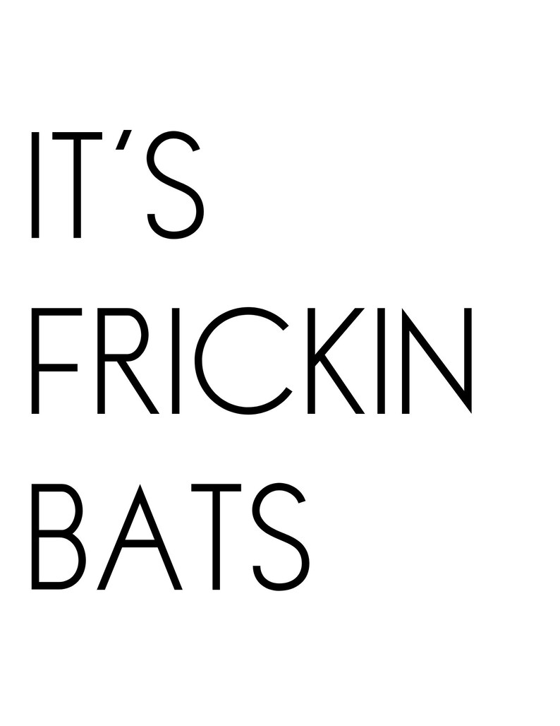 Bats, Halloween, It's Frickin Bats - Etsy