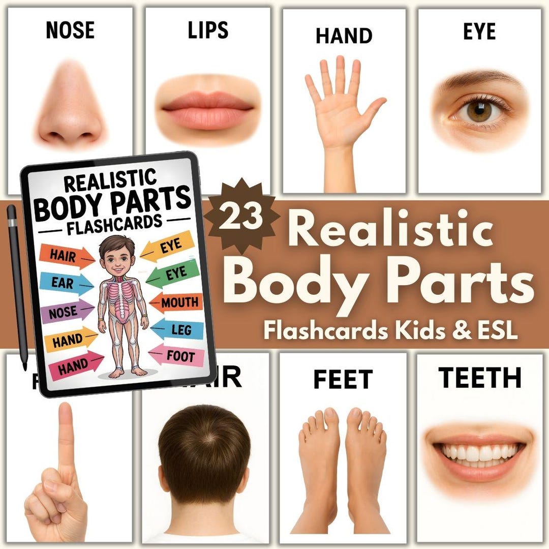 Realistic Body Parts Flashcards: ESL Learning Tool (PDF) - Etsy
