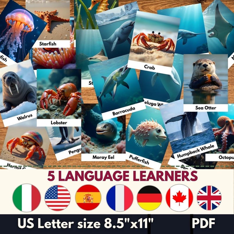 Ocean Animals Flashcards for Kids | Montessori Sea Life Cards ...