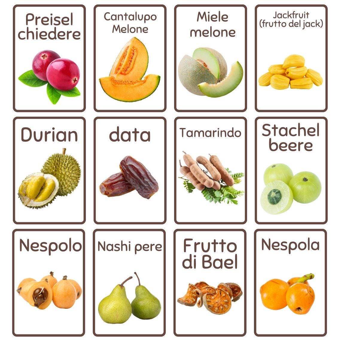 Italy Flashcard: 56 Printable and Editable Fruits Educational ...