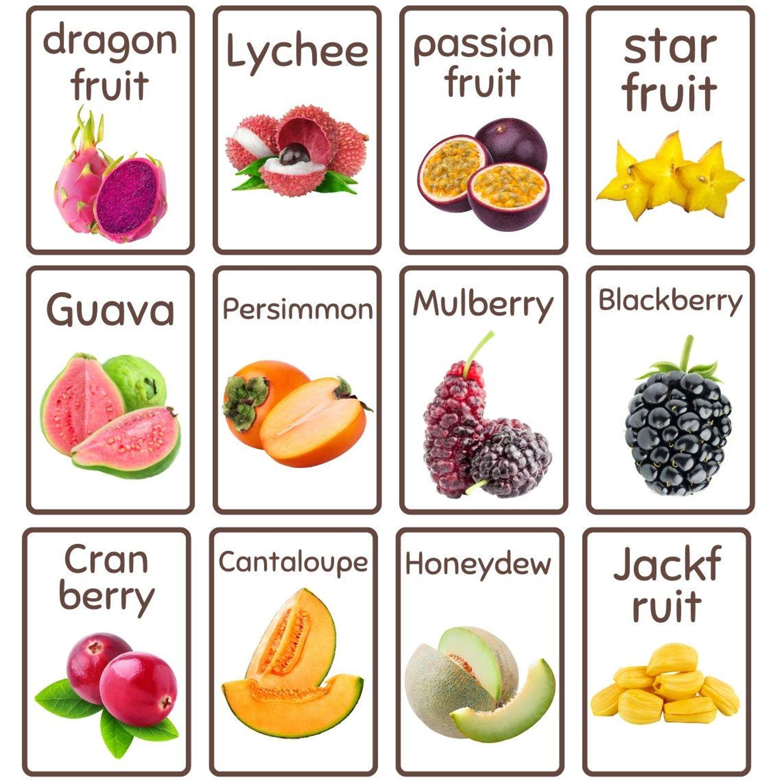 56 Printable and Editable Fruits (real Pictures) Educational Montessori ...