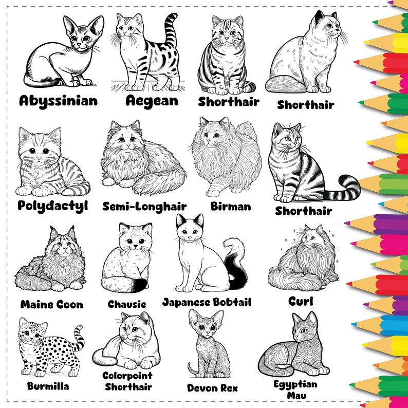 Cute 25 Printable Cats Breeds Coloring Pages for Kids & Adults, for ...