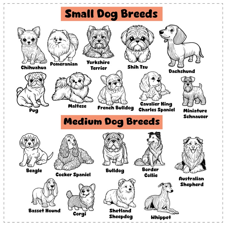 Cute 44 Printable Dogs Breeds Coloring Pages for Kids & Adults, for ...