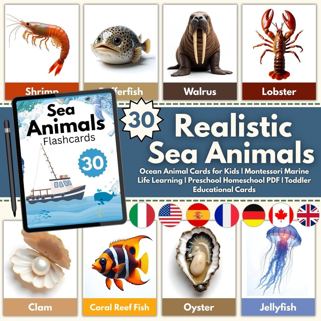 30 Realistic Sea Animals Flashcards | Ocean Learning Cards (PDF ...