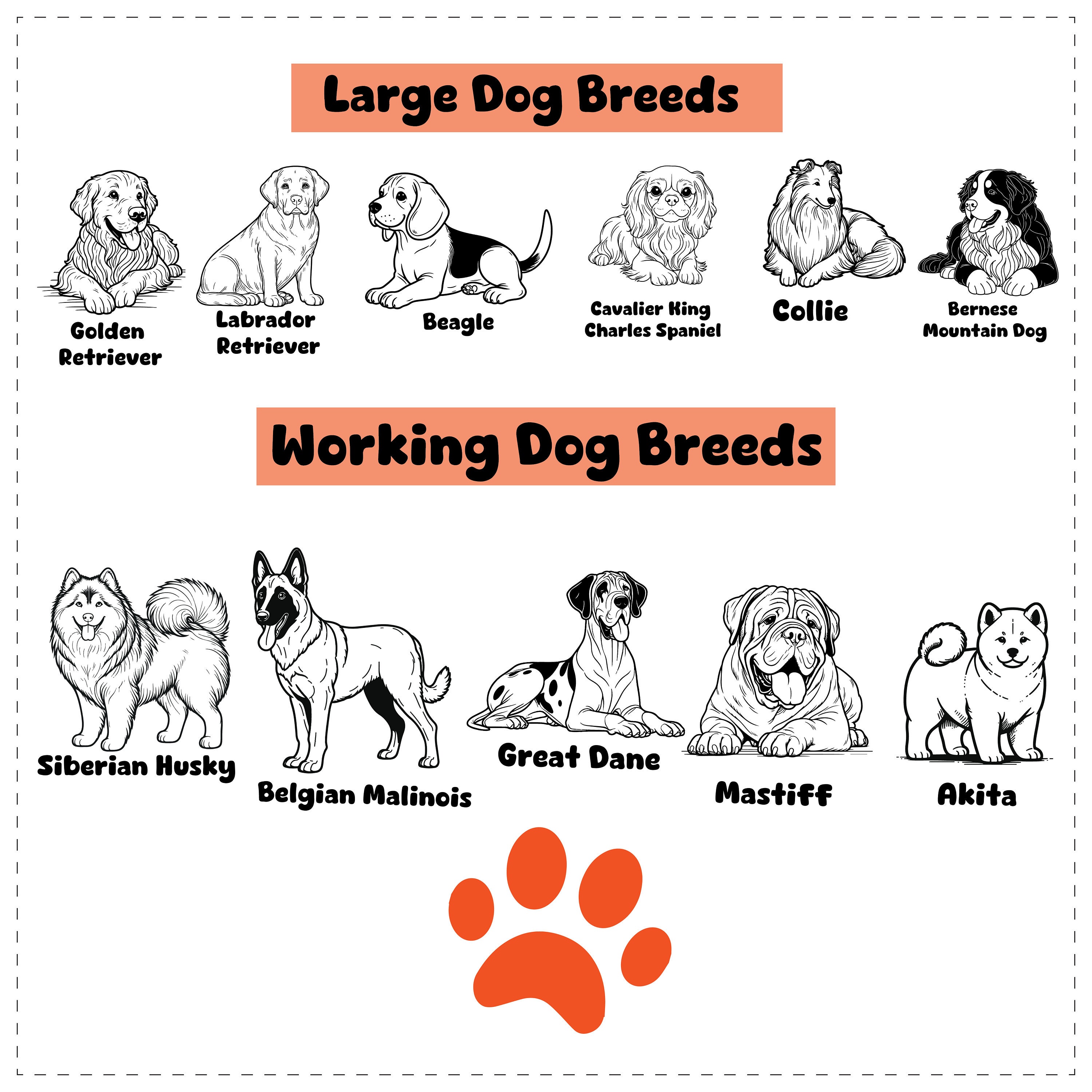 Cute 44 Printable Dogs Breeds Coloring Pages for Kids & Adults, for ...