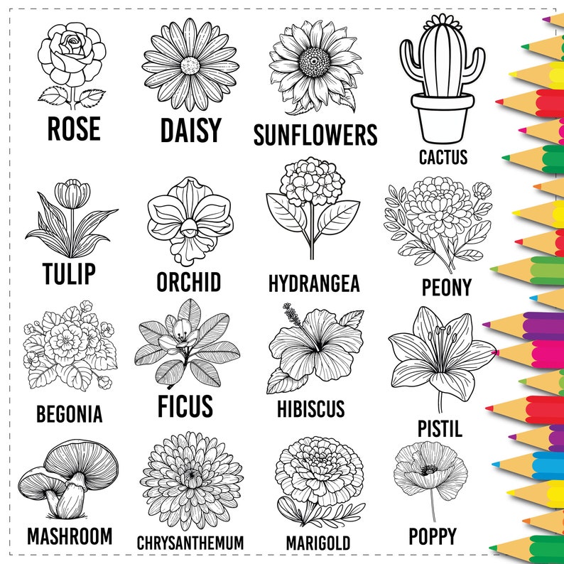 Cute Printable 36 Plants & Flowers Coloring Pages for Kids and Adults ...