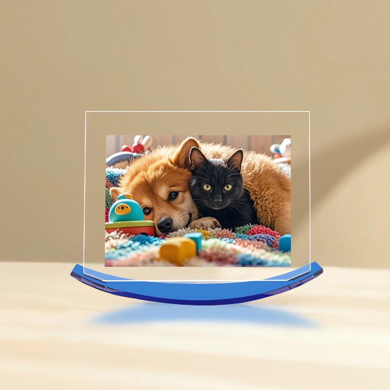 Stilt Board Colored Acrylic Double-sided Transparent Photo Frame ...