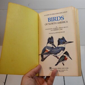 A Field Guide Identification Birds of North America, Vintage Book - Etsy