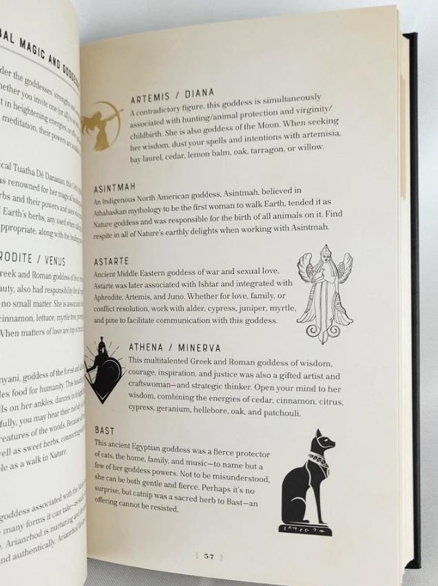 HERBAL MAGIC A Handbook of Natural Spells Charms & Potions by Aurora ...