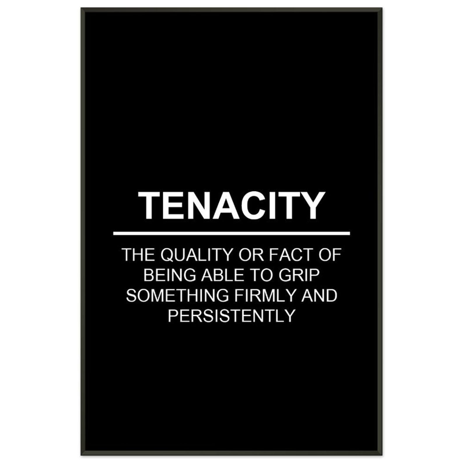 TENACITY Inspirational Wall Art, Office Decor, Home Decor, Motivational ...
