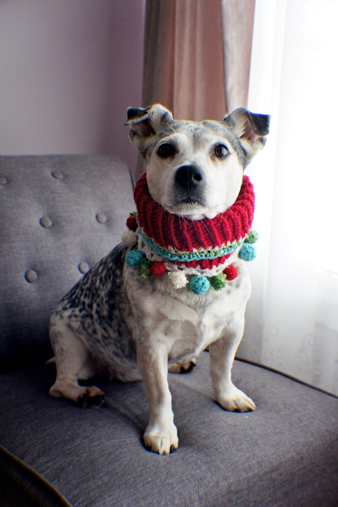 Christmas Dog Scarf Ugly Christmas Scarf Dog Scarf Small Dog Scarf Knit ...