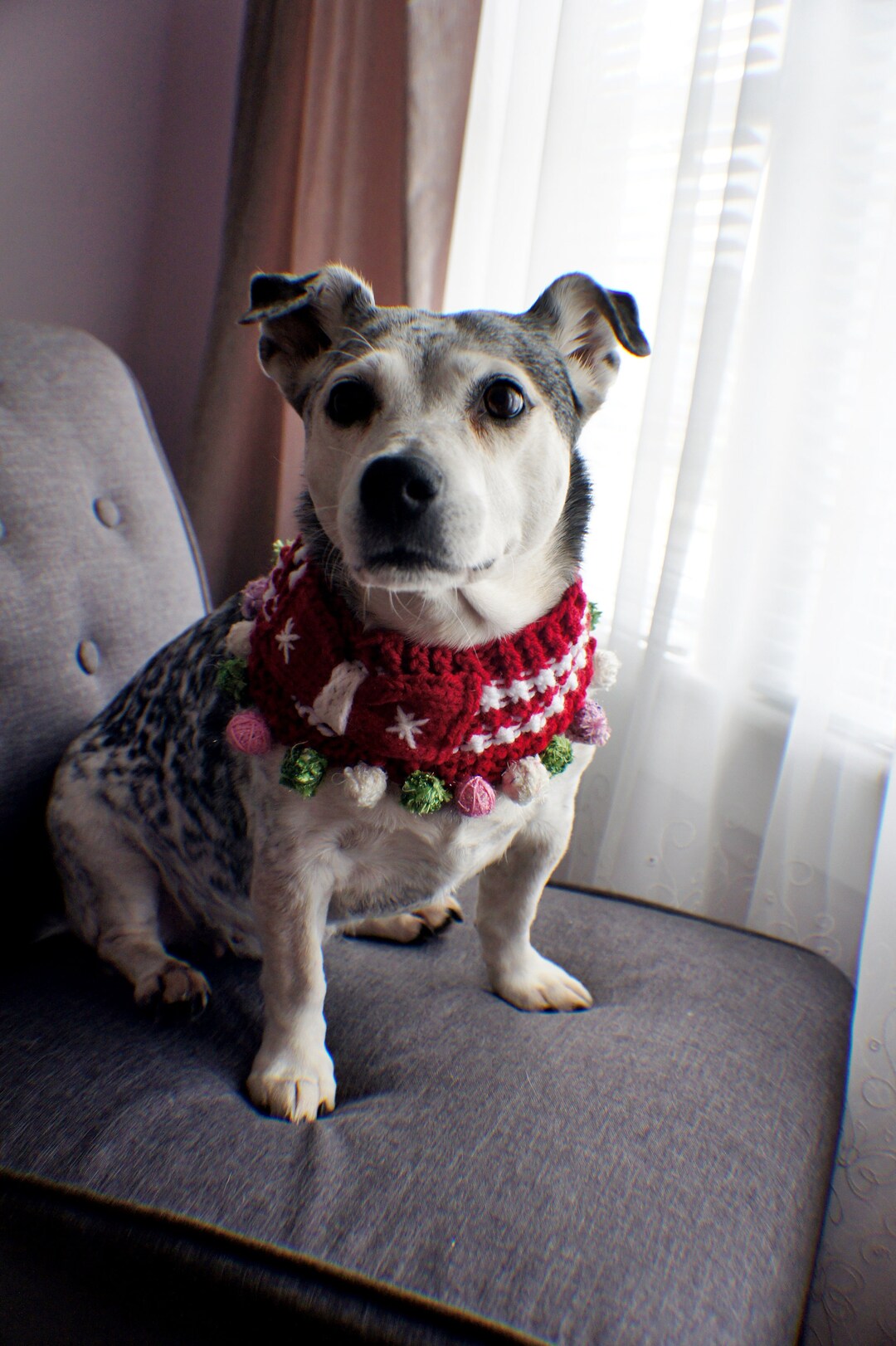 Christmas Dog Scarf Ugly Christmas Scarf Dog Scarf Small Dog Scarf Knit ...